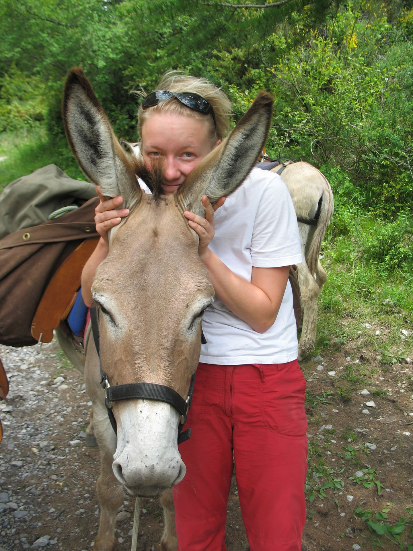 Eselwandern Eseltrekking in Frankreich buchen | ReNatour