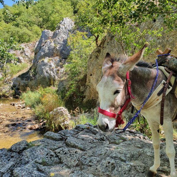 Eselwandern, Eseltrekking, Eselwanderung Italien/Abruzzen