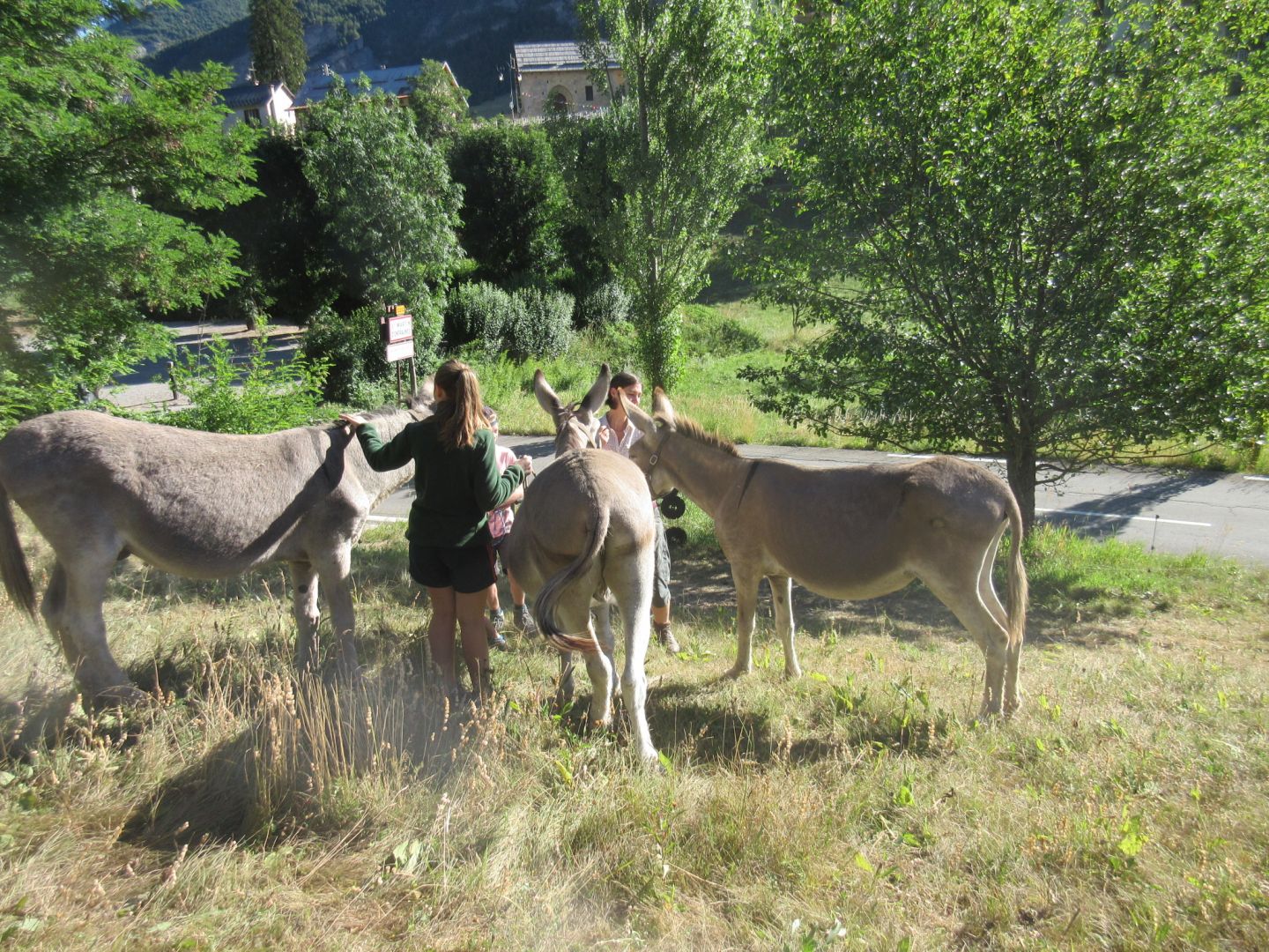 Reiseberichte, Bewertungen,Kundenmeinungen | ReNatour