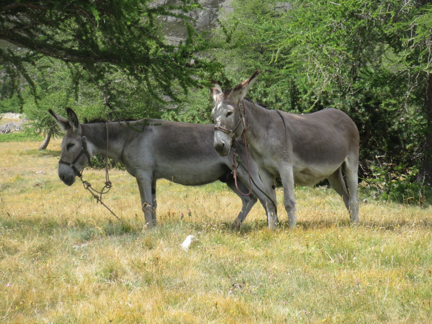 Reiseberichte, Bewertungen,Kundenmeinungen | ReNatour